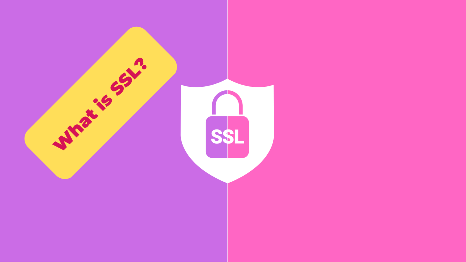 What is SSL? - Duku & Langsat Blog